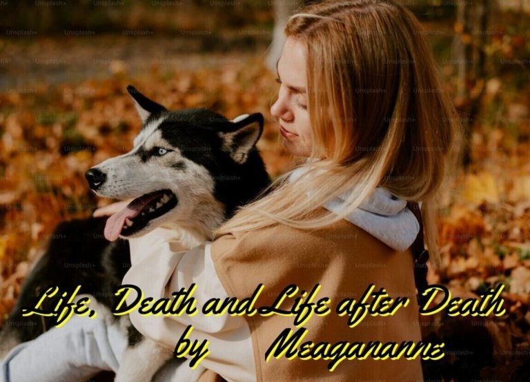 Life, Death, and Life After Death | Stories Space